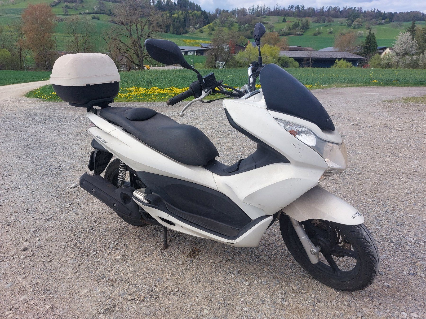 Honda PCX 125 WW125EX2 Roller Scooter A1 wenig km ab 1 Fr.- (Gebraucht ...