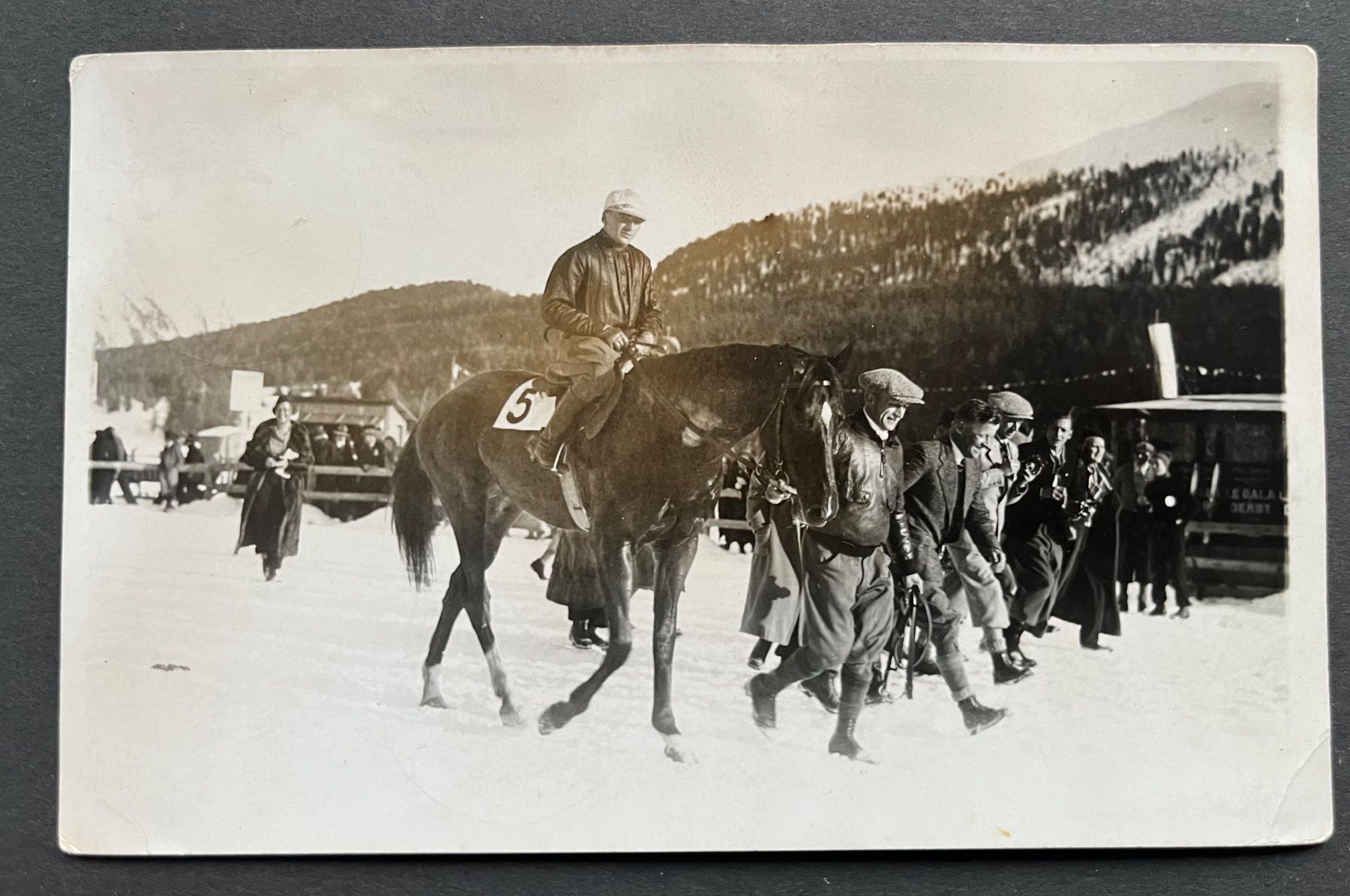 St. Moritz/ Pferd mit Jockey, Photo Flütsch , ca. 1925 (Gebraucht) in ...