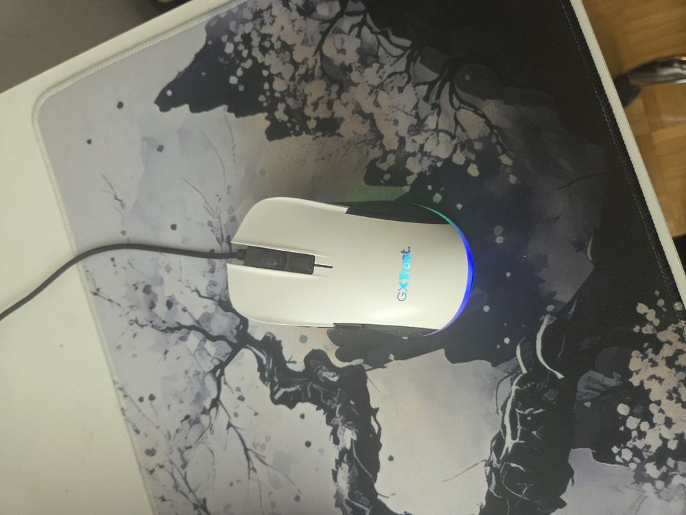 Trust GXT 922W Ybar RGB Gaming Mouse (Gebraucht) in Visp für CHF 3 ...