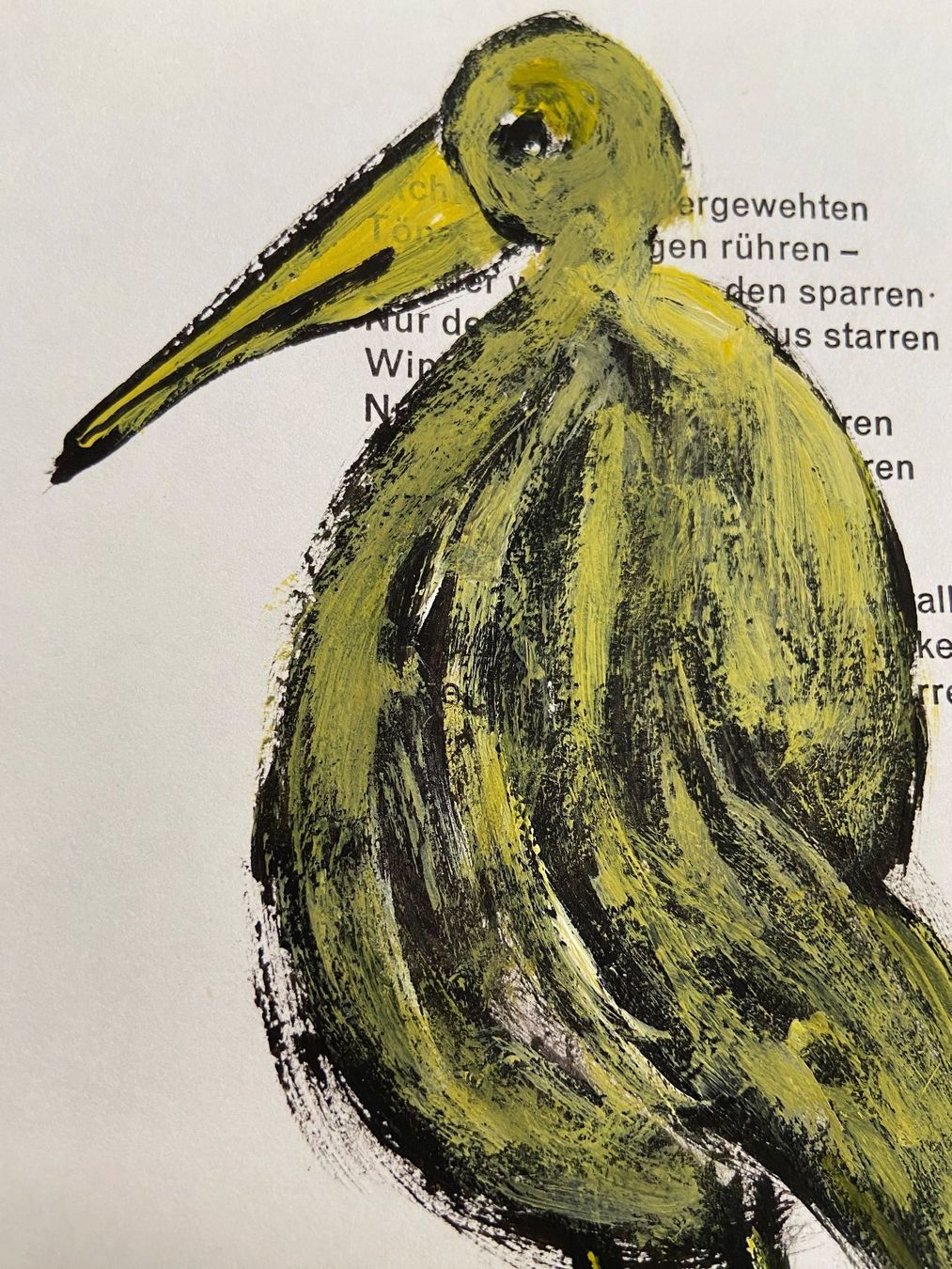 Vogelart Mit C