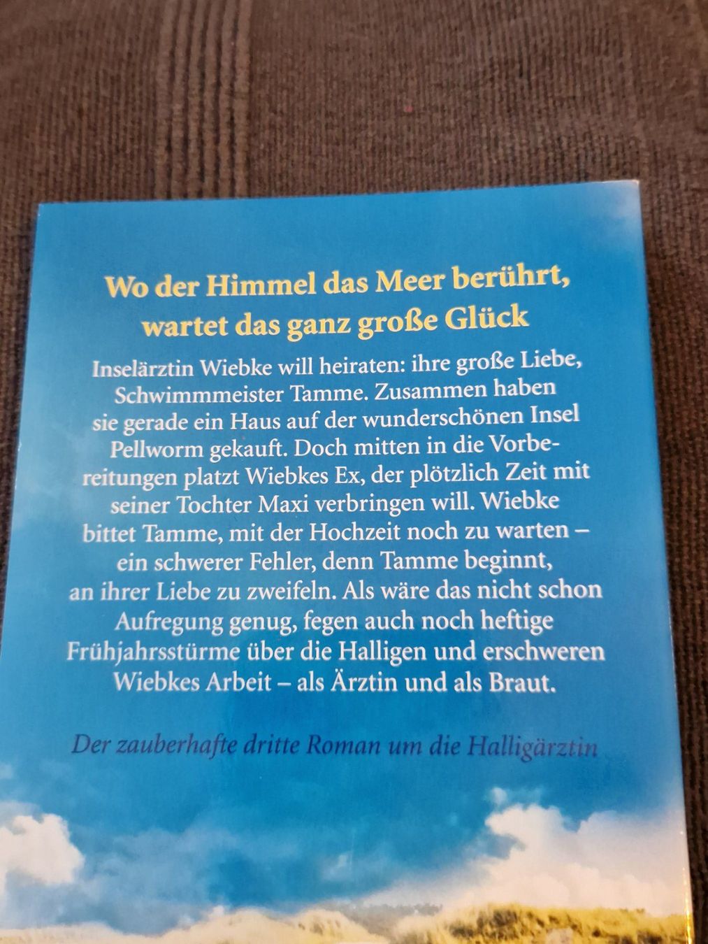 Lena Johannson - Sommerglück auf der Hallig (Gebraucht) in Neuhausen am Rheinfall für CHF 4 ...