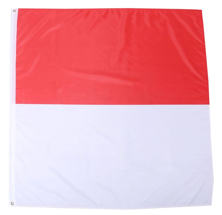 Kantonsflagge Solothurn 120 cm x 120 cm (Neu und originalverpackt) in ...