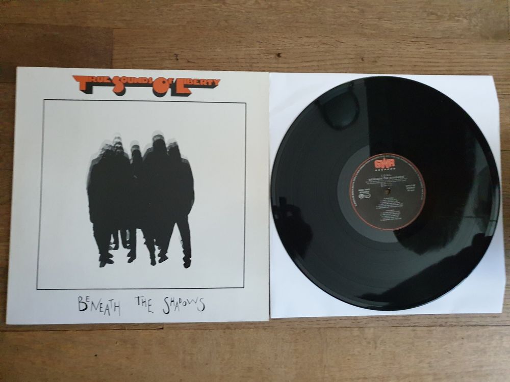 TSOL Beneath The Shadows | Kaufen auf Ricardo