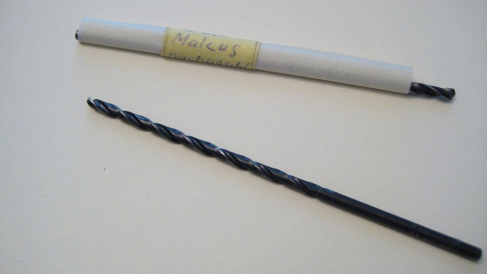 Bohrer Ø3.2mm, HSS (Neu (gemäss Beschreibung)) in Aarburg für CHF 1.5 ...