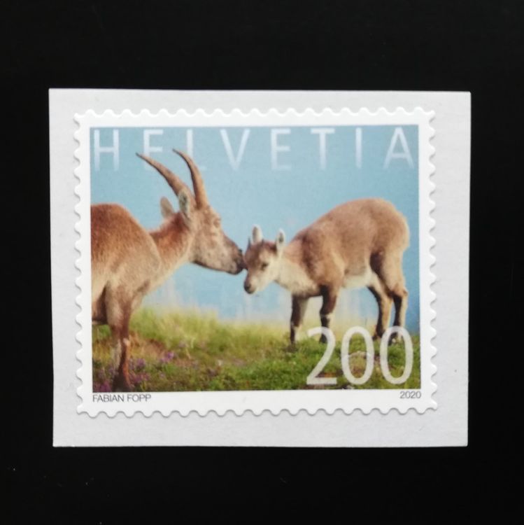 Schweiz Sondermarke Tierfamilien - Steinbock, 2020 ** (Neu (gemäss Beschreibung)) in Gümligen ...