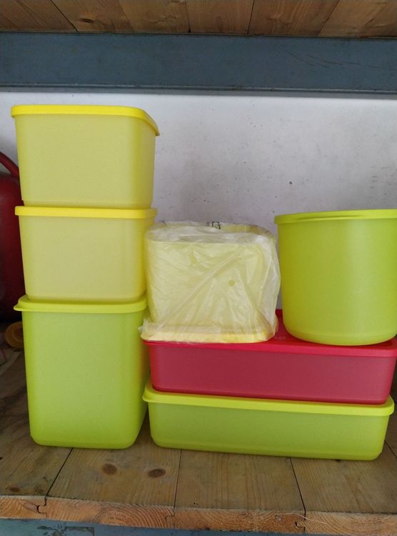 Dosen Set Tupperware (Neuf (Voir description)) à Reinach BL pour CHF 35 ...