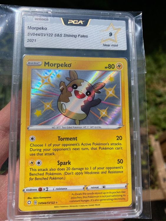 Shiny Morpeko Graded PCA 9 ab 1.- !!! | Kaufen auf Ricardo