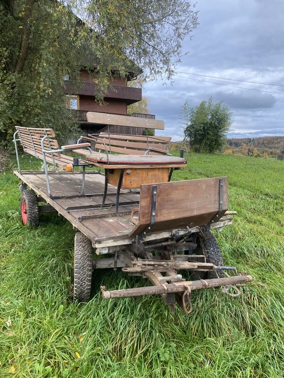 Pferdekutsche für Selbstabholer (Gebraucht) in Oberwil-Lieli für CHF 1 ...