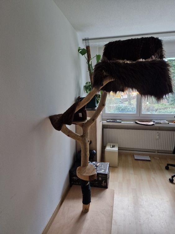 Kratzbaum Aus Baumstamm