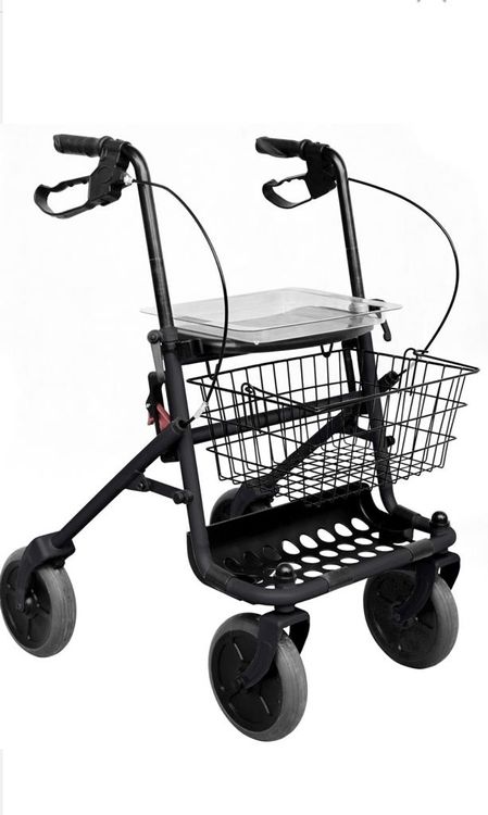 Rollator /Gehilfe (Gebraucht) in für CHF 91 – nur Abholung auf Ricardo ...