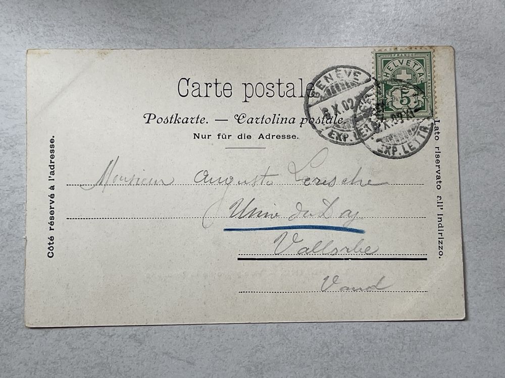 vue prie de la Donzelle, La Plaine VD (Gebraucht) in Strengelbach für ...