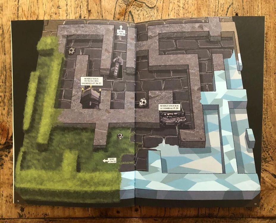 Escape Game. Le Labyrinthe des oubliés. Âge 14+. (Neuf (Voir ...