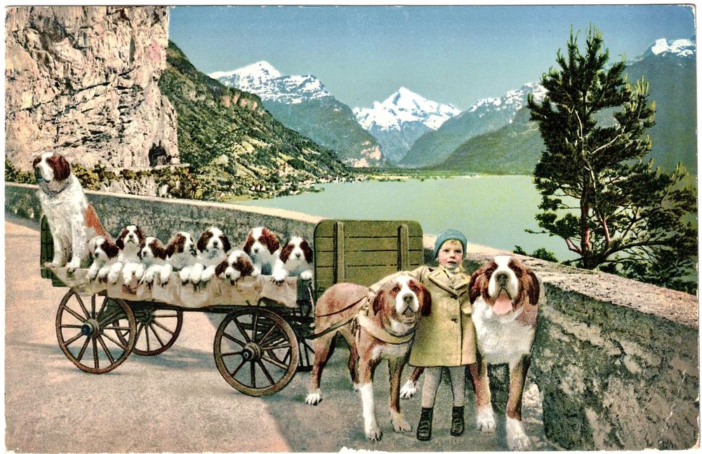 FLÜELEN St. Bernhard-Zwinger - Zwing-Uri ca. 1930 (Gebraucht) in ...