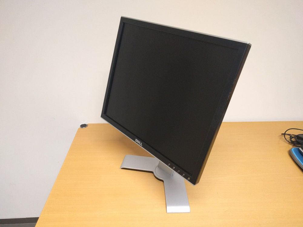 Dell 1907FPc 19" LCD Farb Monitor | Kaufen auf Ricardo