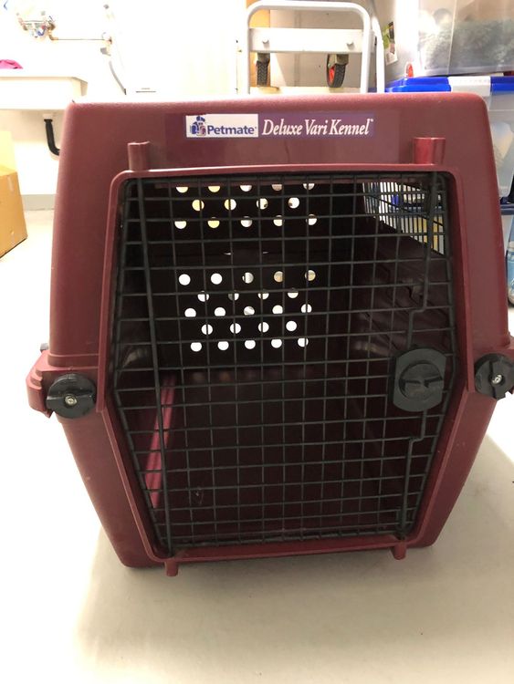 Hundebox / Transportbox vari kennel | Kaufen auf Ricardo