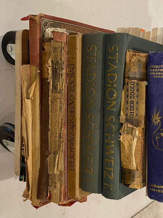 Lot von antiken und alten Büchern verschiedenster Themen (Gebraucht) in Wettingen für CHF 60 ...
