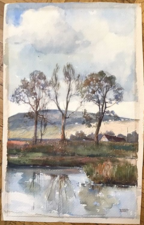 W.Naef Original Aquarell | Kaufen auf Ricardo