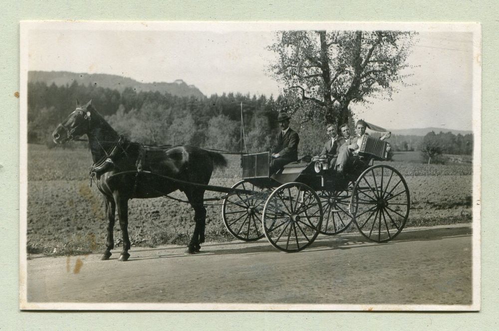Kutsche bei Wildegg Fotokarte | Kaufen auf Ricardo