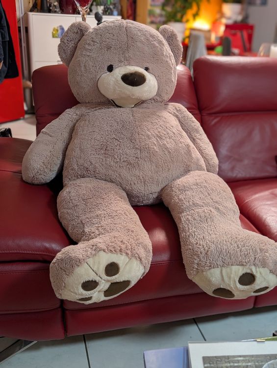 XXL Teddybär Kuschelbär Riese Plüschbär ca. 130cm | Kaufen auf Ricardo