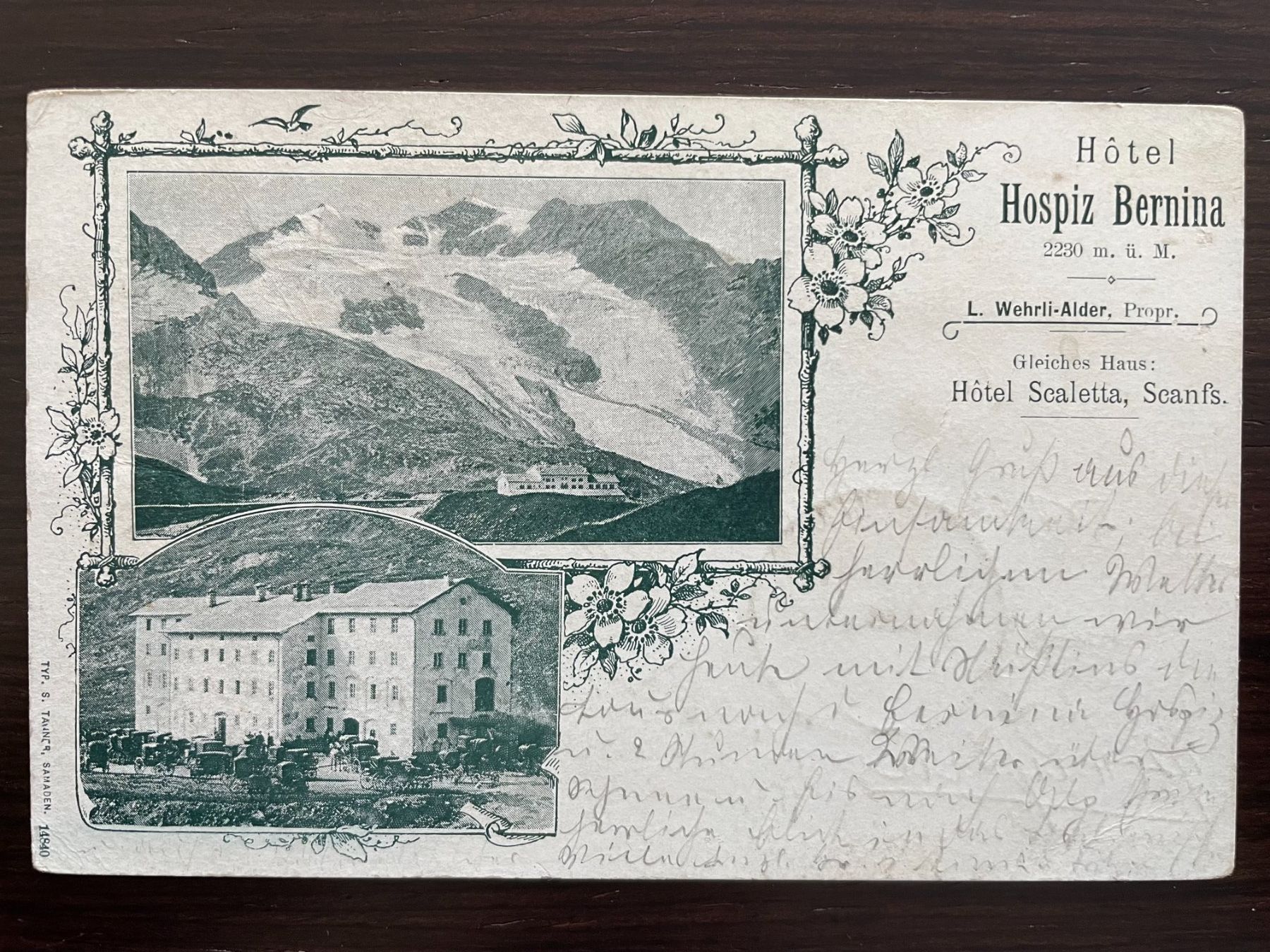 HOTEL HOSPIZ BERNINA (Pontresina) Kutschen, S. Tanner, 1903 (Gebraucht ...