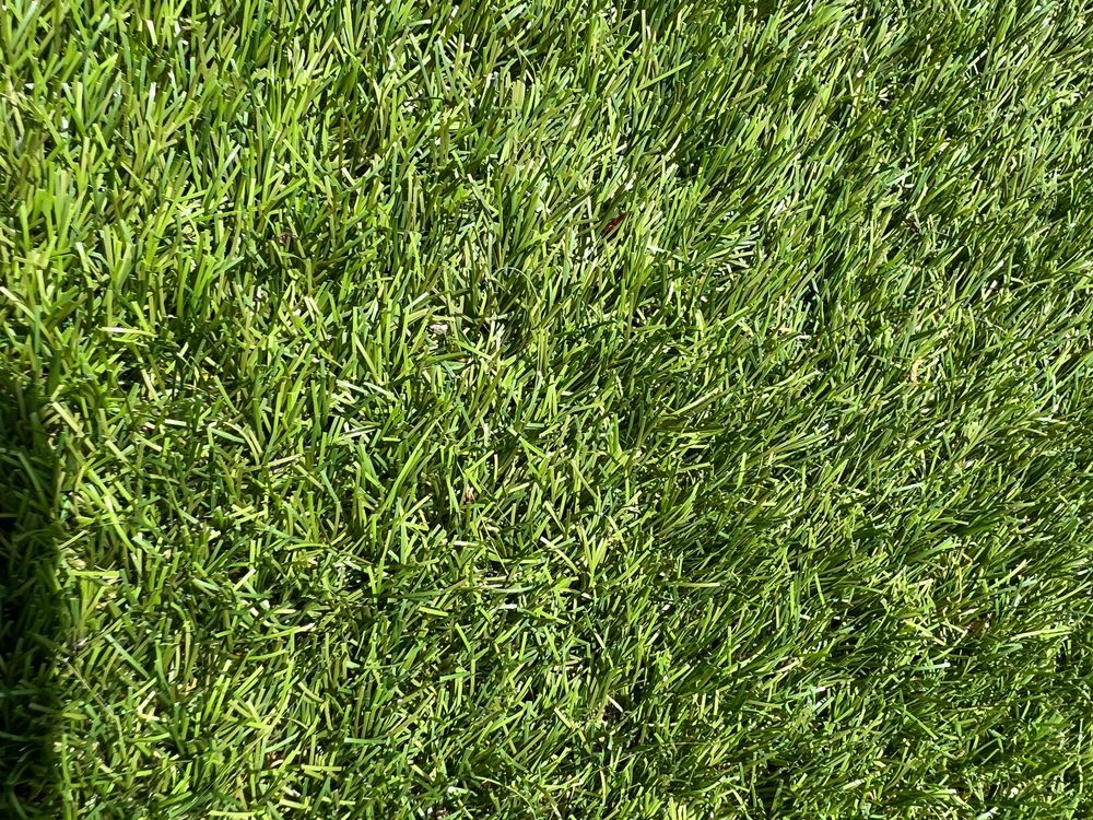 9 qm Premium Kunstrasen mit 30mm Grasnarbe (Gebraucht) in Klosters für ...