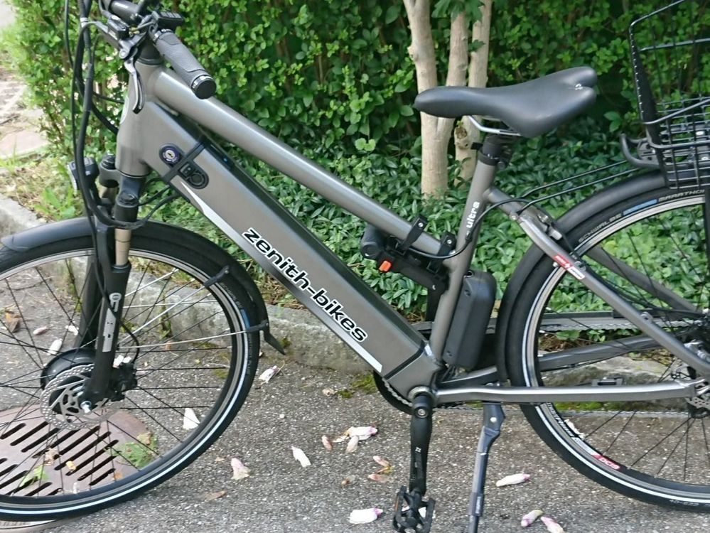 E-Bike Zenith Ultra | Kaufen auf Ricardo