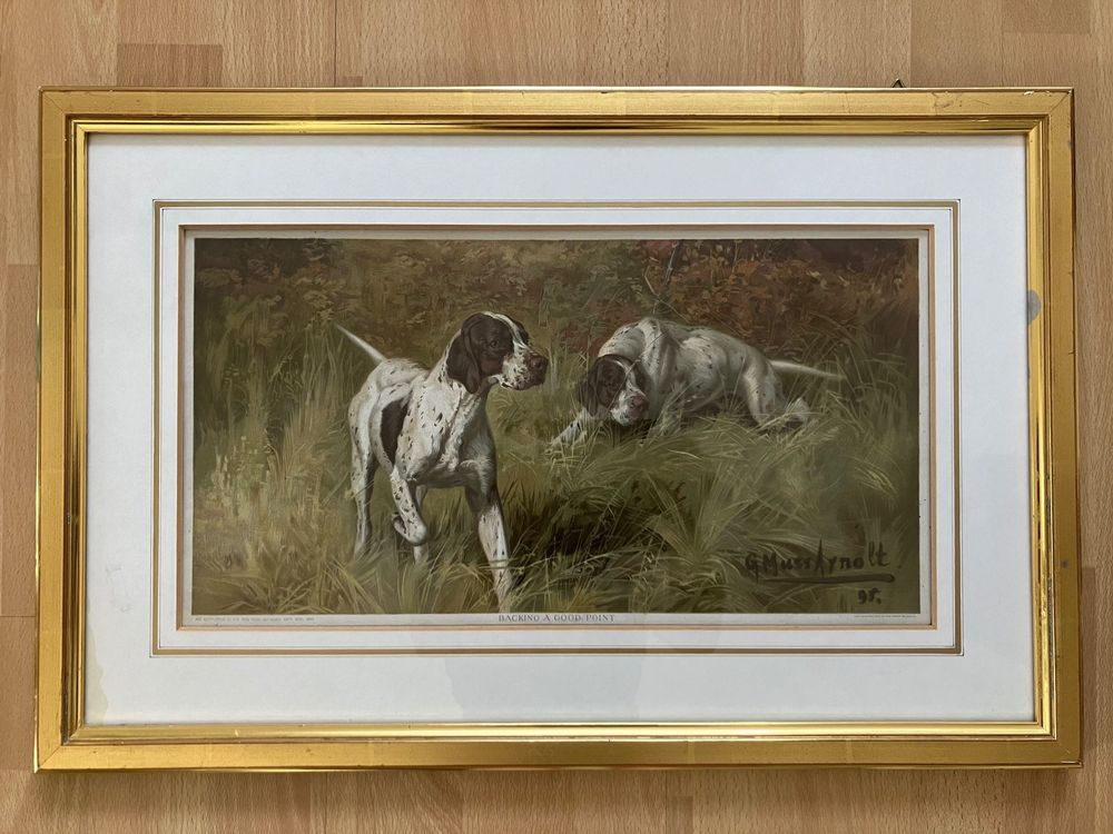Gustav Muss-Arnolt alter Print Jagdhunde 37 cm x 57 cm (Gebraucht) in ...