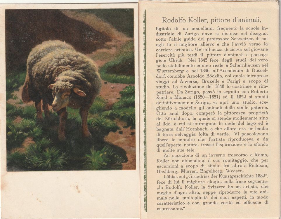 5 Ak Pro Juventute Rudolf Koller im Umschlag (Gebraucht) in ...