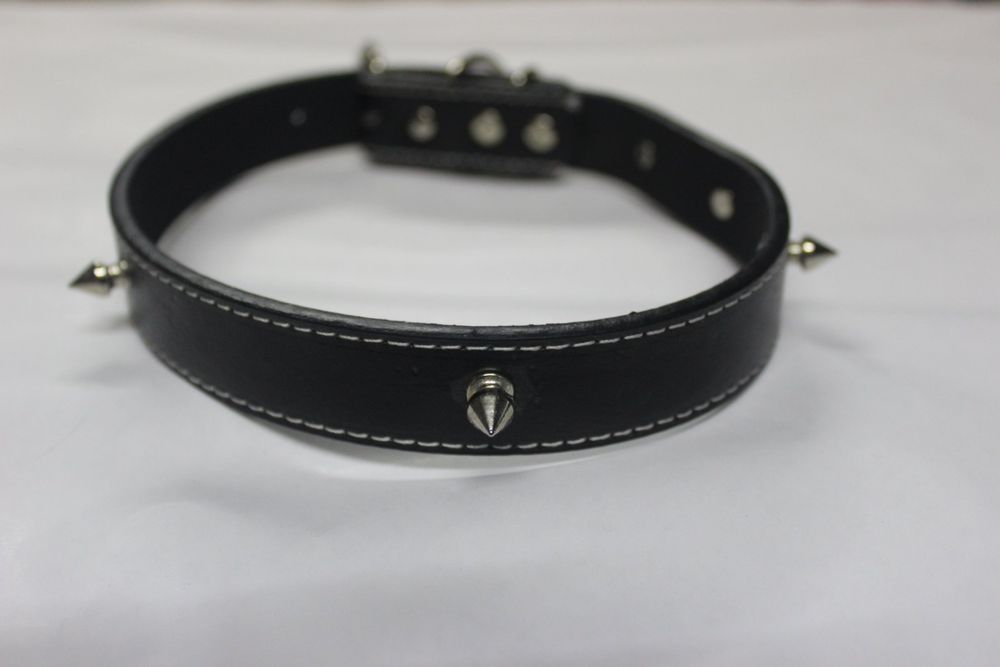 Resposten halsband Hund band schwarz (Neu (gemäss Beschreibung)) in ...