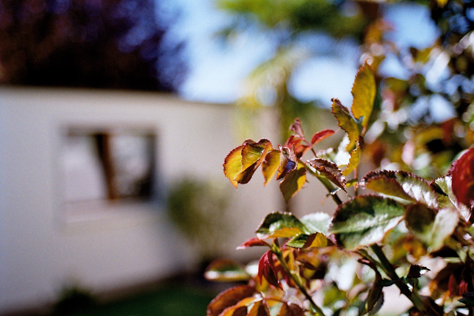 Nikon Nikonos RS AF-Unterwasserkamera R-UW AF Nikkor 20-35mm (D ...