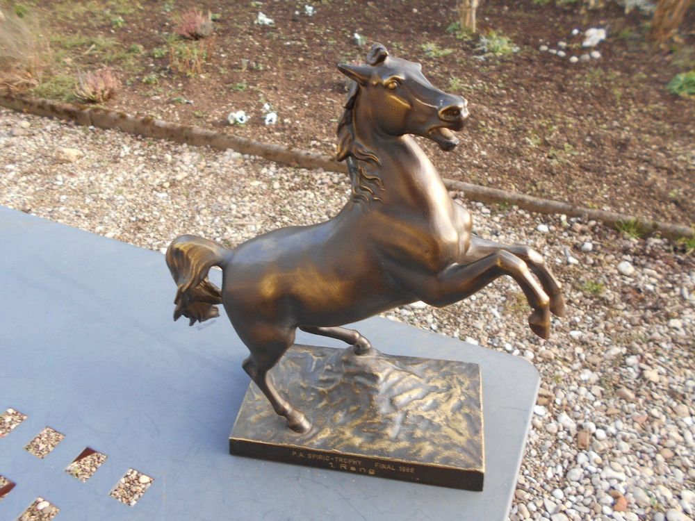 Pferd Reitpferd, Ross, Trophy 1. Rang (Gebraucht) in Basel für CHF 75 ...