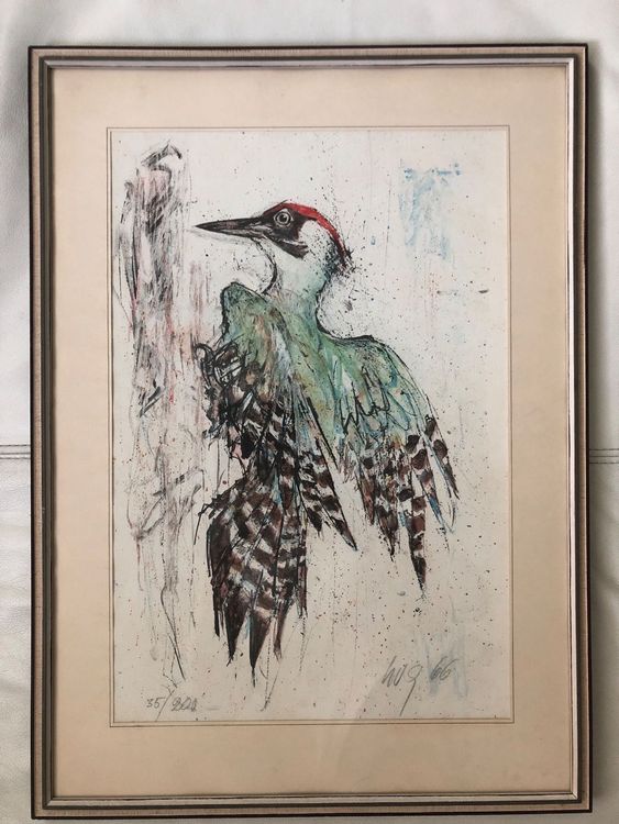 Bild Specht F. Hug Lithographie Nr.35/ 200 (Gebraucht) in Nunningen für CHF 98 – mit Lieferung ...