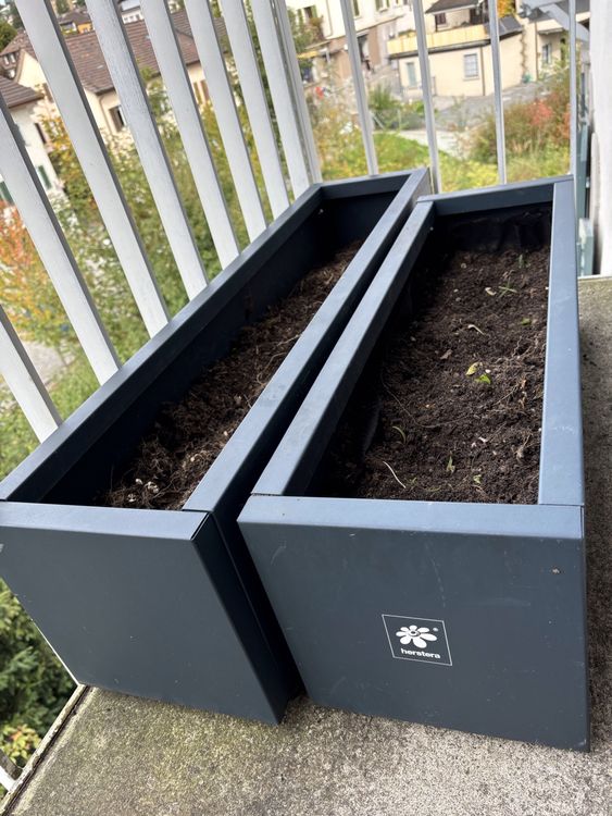 Hochbeete: 2 x Herstera Hochbeet Metal Planter (Gebraucht) in Erlenbach ...