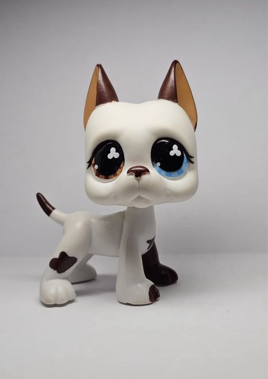 Lps Littlest pet shop Hund Great Dane (Gebraucht) in Luzern für CHF 30 ...