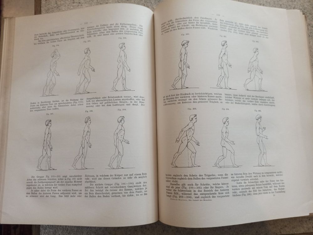 Die Gestalt des Menschen Gustav Fritsch 1899 (Gebraucht) in Zofingen ...