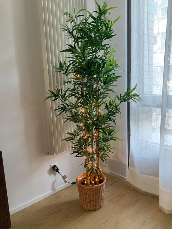 Ikea Artificial Bamboo Tree with Basket and Lights (Gebraucht) in Zug ...