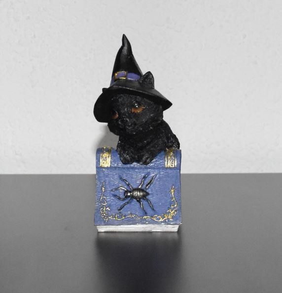 Katze Hocus (Neu und originalverpackt) in Menziken für CHF 16 – mit Lieferung auf Ricardo kaufen