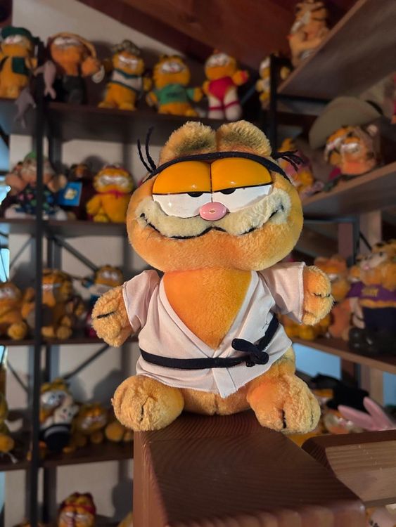Süsser Garfield Karate Plüschtier (Gebraucht) in Arni AG für CHF 12.5 ...