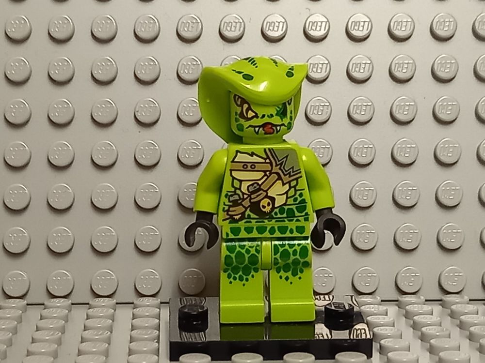 Lego Minifigur Ninjago njo497 Lasha - Legacy | Kaufen auf Ricardo
