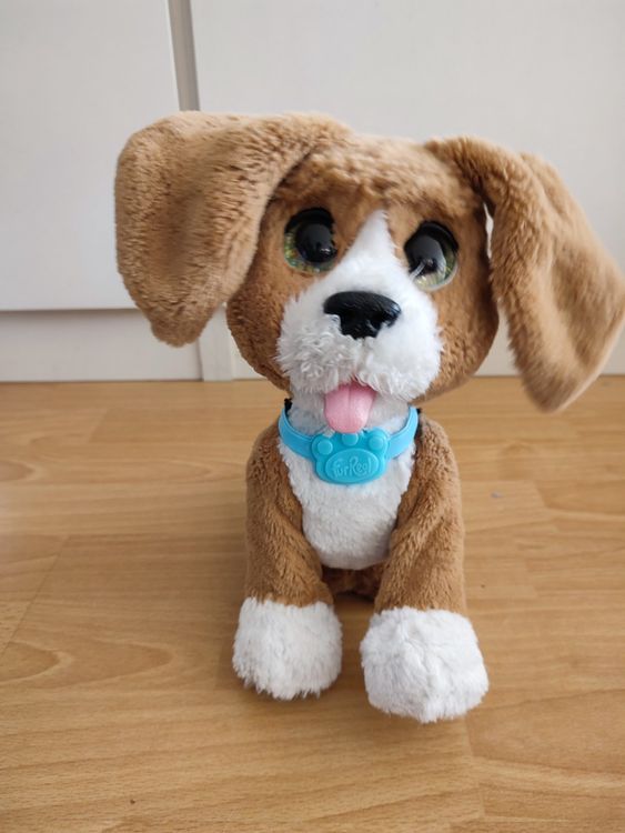 FurReal Chattie Charlie The Barkin' Beagle | Kaufen auf Ricardo