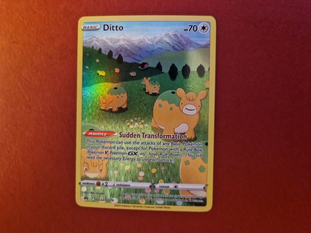 Ditto Fullart | Trainer Galerie (Gebraucht) in Kehrsatz für CHF 1 – mit ...