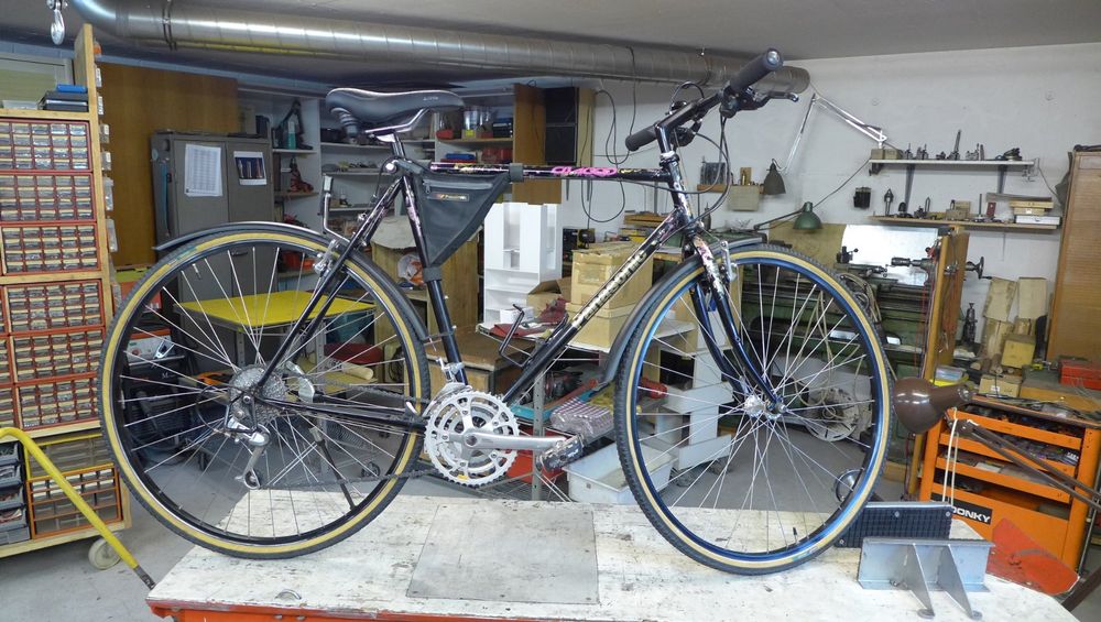 Fahrrad Panasonic CB 4000 (Gebraucht) in Liestal für CHF 200 – nur ...