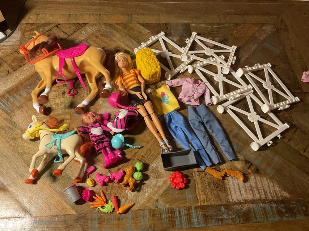 2 Barbies, Pferd & Pony - Reiterin & Chelsea Cutie reveal (Gebraucht ...