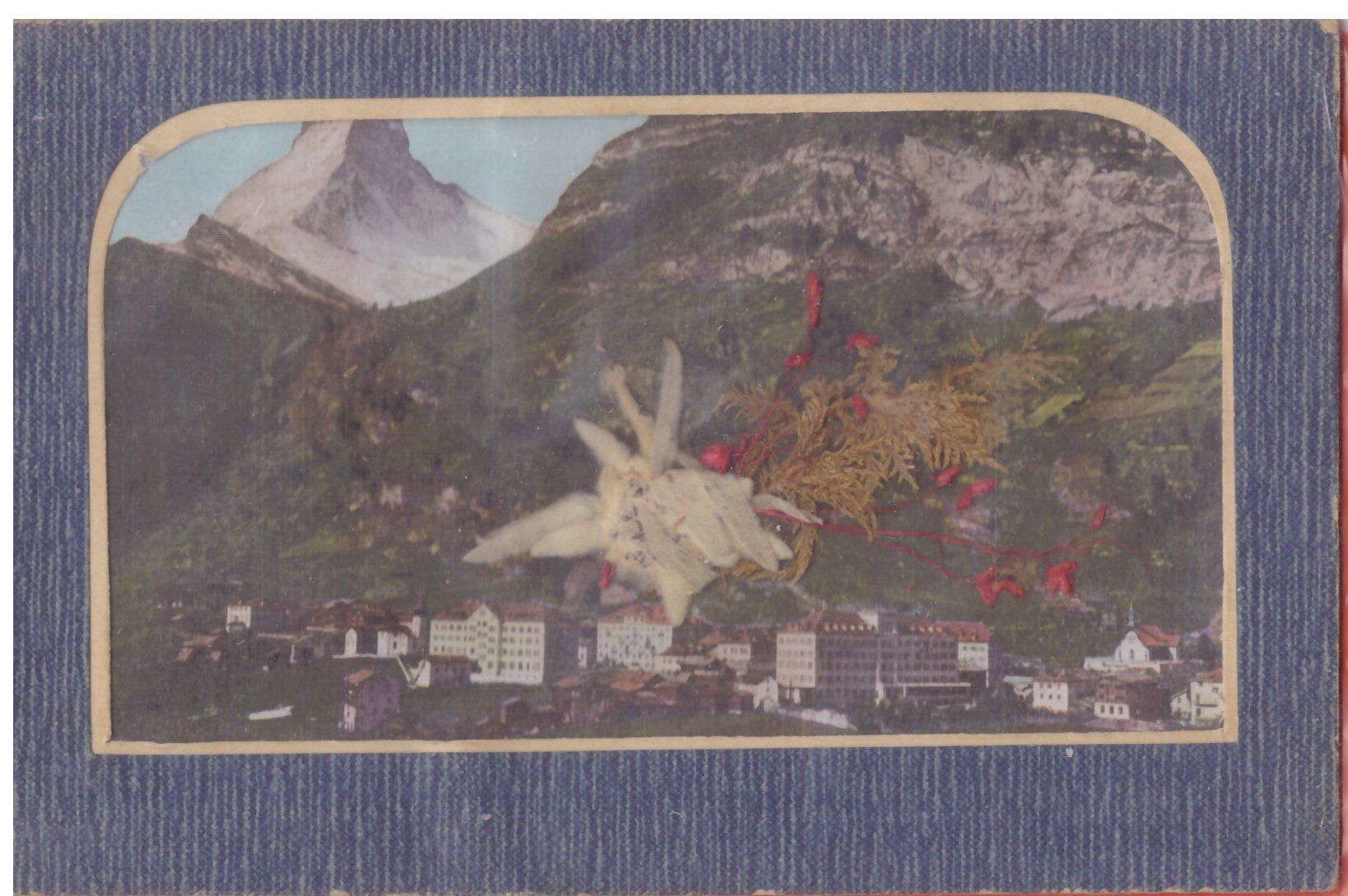 ZERMATT - VS - DORFBILD MIT MATTERHORN UND ECHTE EDELWEISS (Neu (gemäss ...