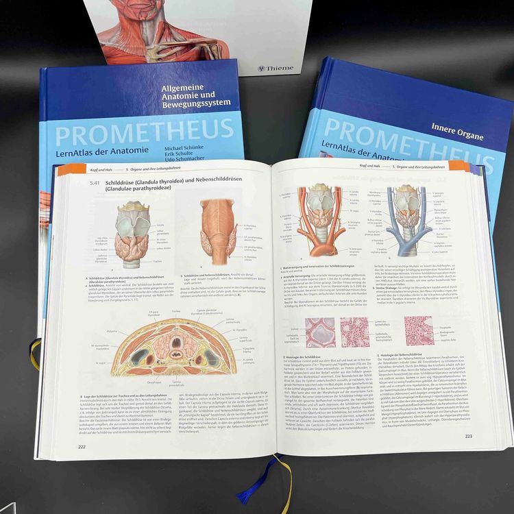 Prometheus Lernatlas der Anatomie neuwertig top Zustand (Neu (gemäss ...