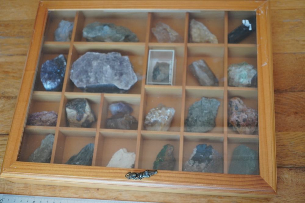Vitrine voller Mineralien inkl Vitrine aus Holz Bernstein- (Neu und originalverpackt) in ...