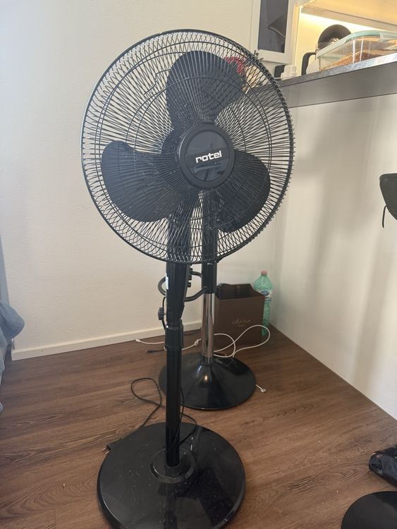 Rotel Stand Fan - Beat the Summer Heat, Like New! (Gebraucht) in ...