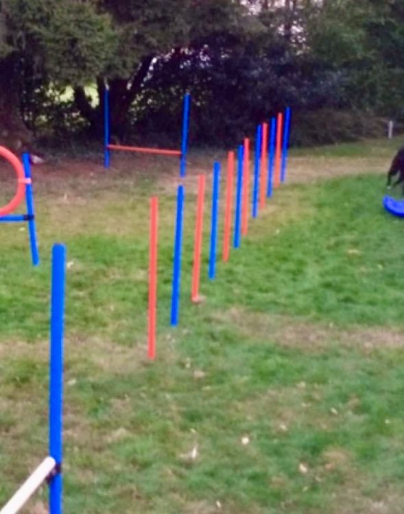 Agility Fun & Sport Slalom-Set | Kaufen auf Ricardo