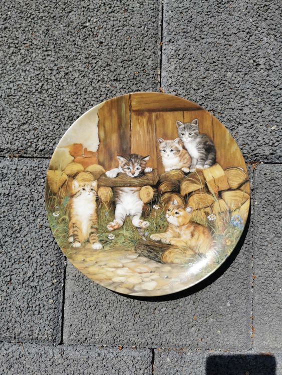 Sammlerteller Katzenkinder Seltmann Weiden (Gebraucht) in Wil AG für ...
