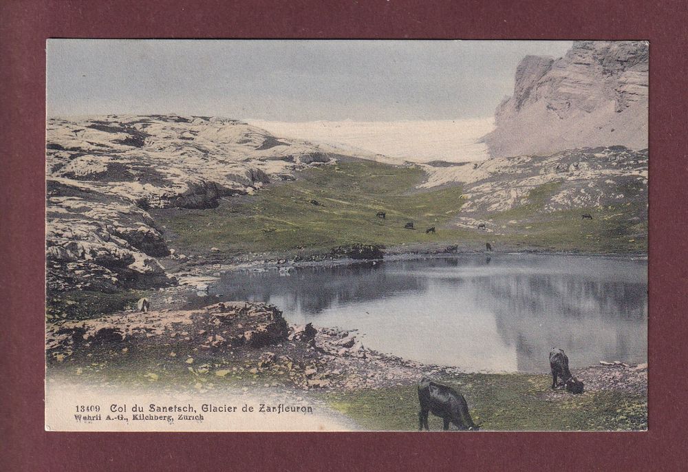 COL DU SANETSCH - Glacier de Zanfleuron - Vaches - 1907 (D'occasion) à ...